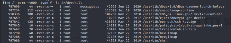 Privilege Escalation with SUID in Linux - Securium Solutions
