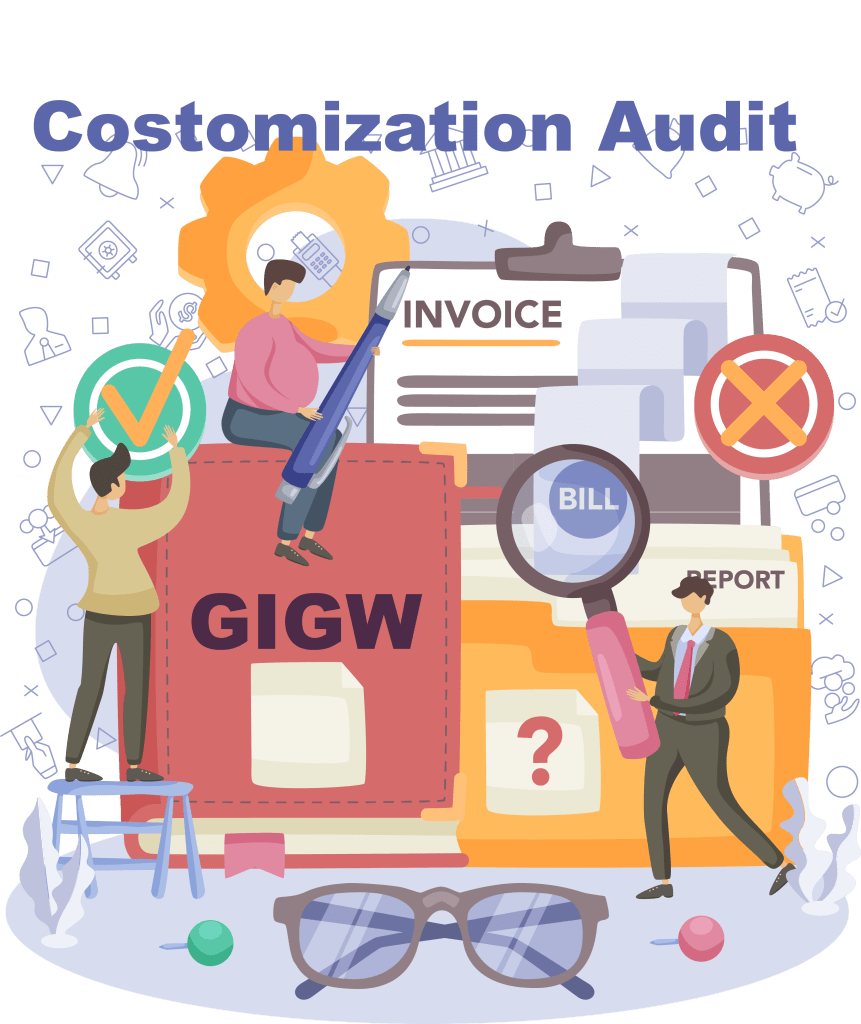 GIGW Compliance Audit Services - Securium Solutions